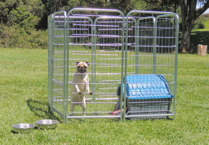 Kit Canil Modular - Metal Pet